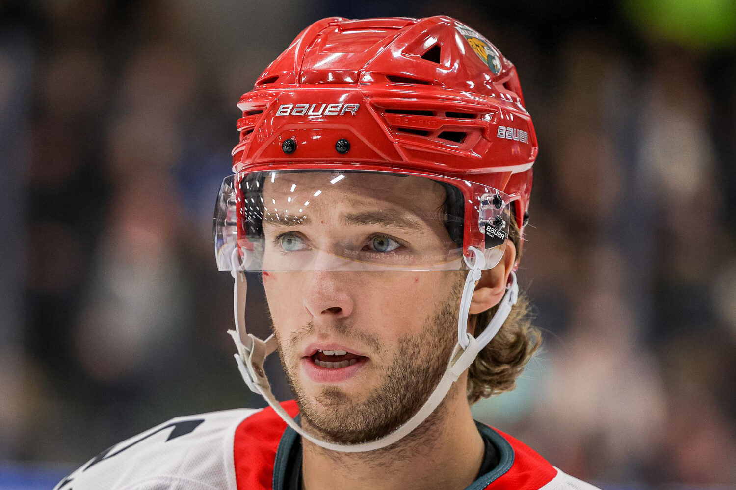 Steelers Blue Line Addition as Diffley Signs | Pro Hockey News