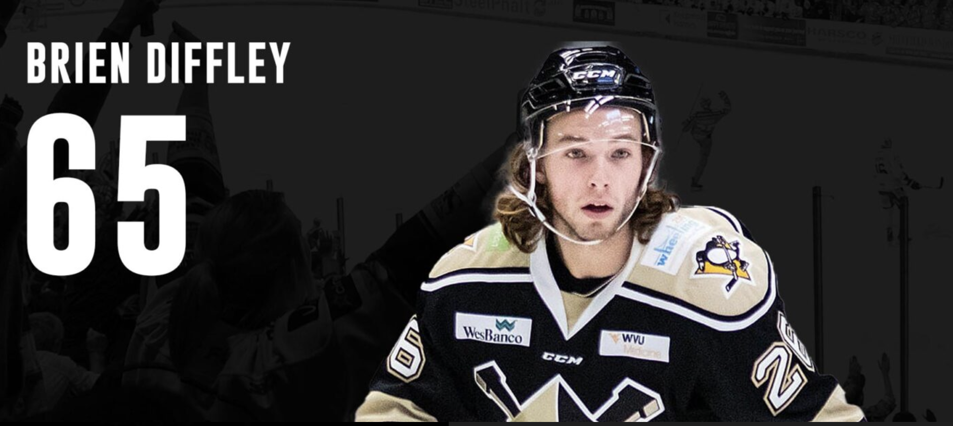 Steelers Blue Line Addition as Diffley Signs | Pro Hockey News