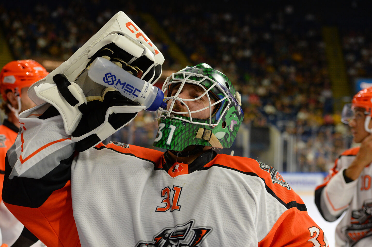 Manchester Storm 1-5 Steelers – Sheffield Steelers