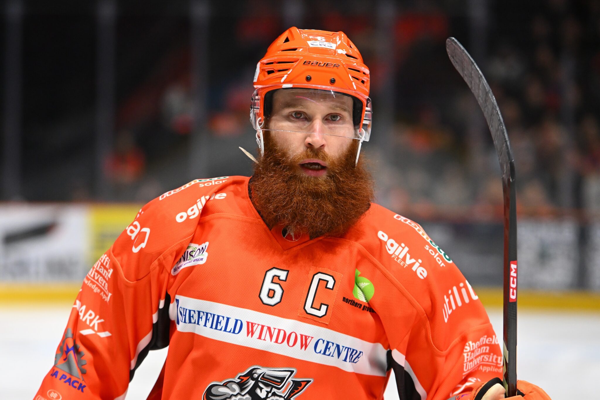 Tansey’s Steelers 3-0 Victors Over the Storm – Sheffield Steelers