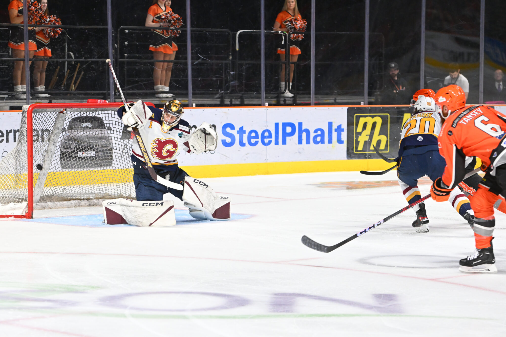 What a Night …. – Sheffield Steelers