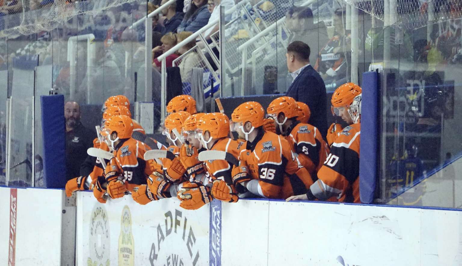 Steeldogs at Home this Weekend Whilst Steelers Hit the Road – Sheffield ...